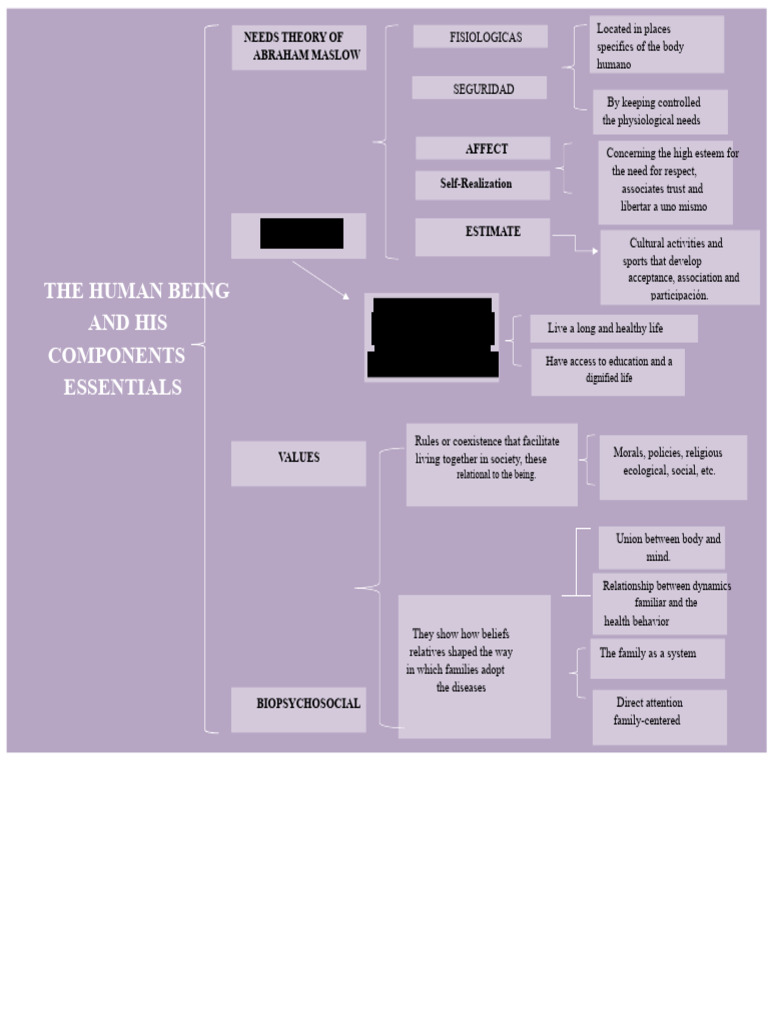 AA1-EV01. Mind Map. The Human Being and Its Essential Components. | PDF ...