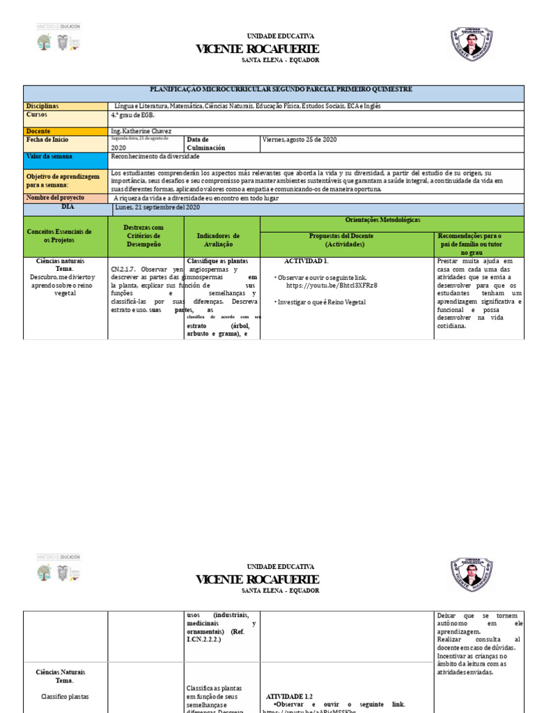 Planejamento Microcurricular EGB 4º Grau | PDF | Science | Aprendizado