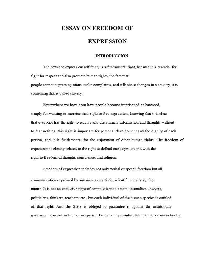 Essay On Freedom of Expression | PDF | Freedom Of Speech | Human Rights