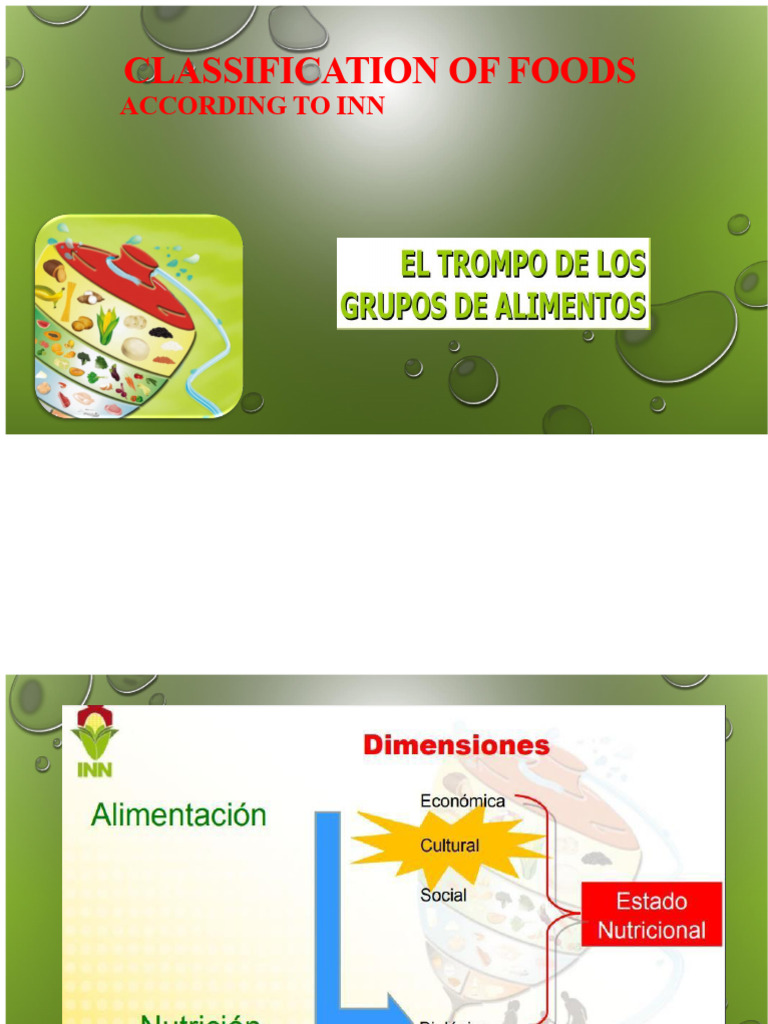 Food Classification According To Inn (1) - Session 2 A | PDF