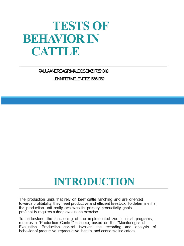 Behavior Tests in Beef Cattle | PDF | Cattle | Meat