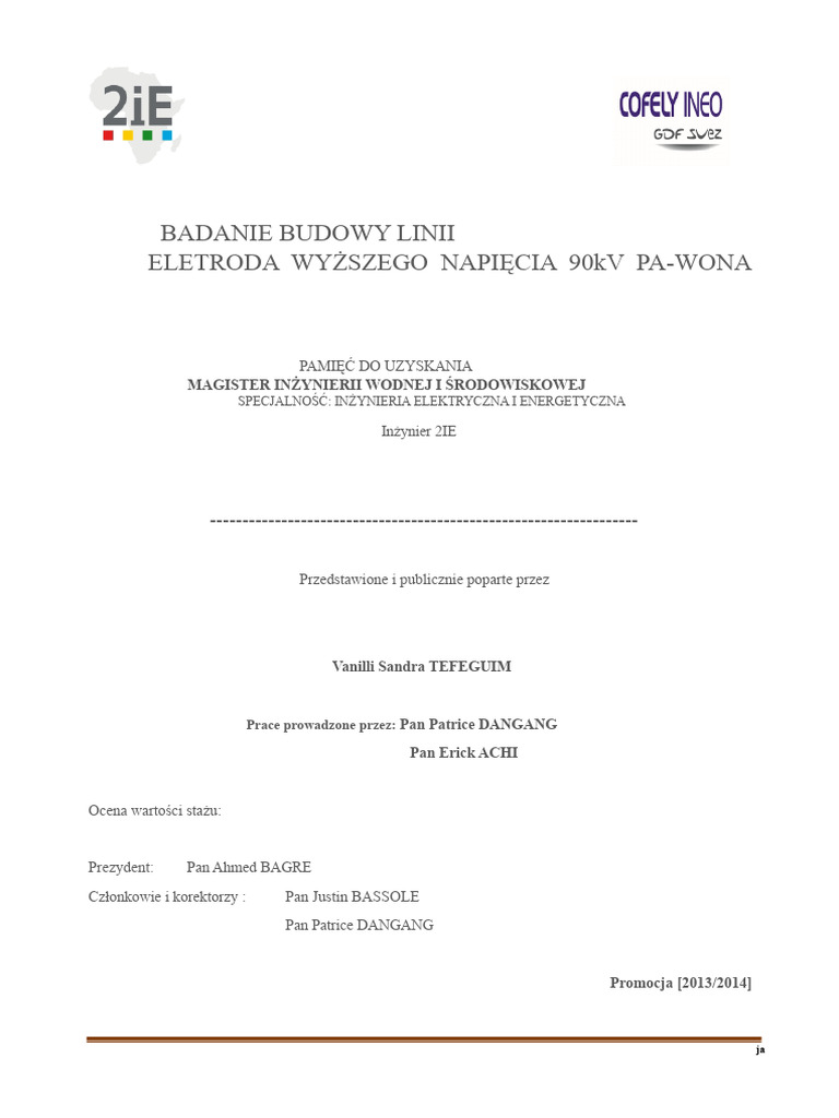 Raport z badania budowy linii wysokiego napięcia 90 kV PA-WONATEFEGUIM Vanilli Sandra | PDF
