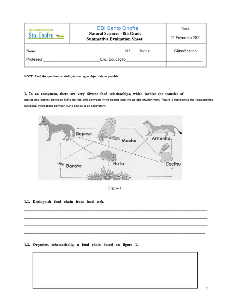 Test 3 | PDF | Food Web | Ecology