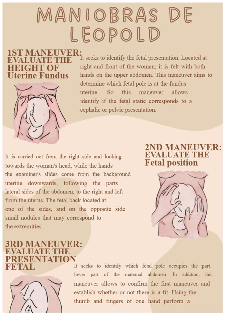 Infographic Leopold Maneuvers | PDF