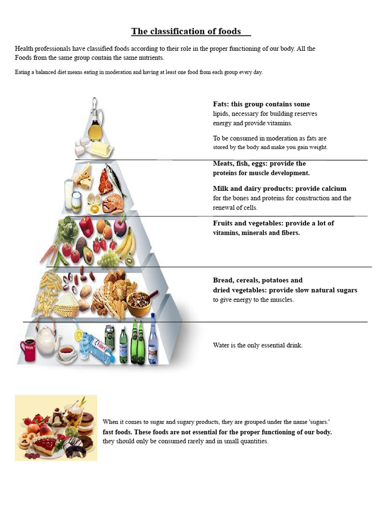 The Classification of Foods | PDF | Foods | Nutrition