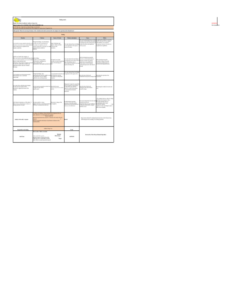 Finding Matrix Audit Group 6 | PDF | Audit | Accounting