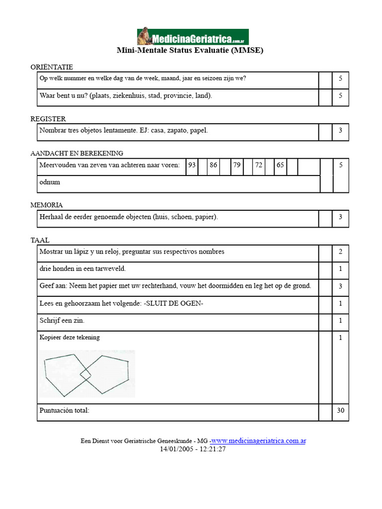MMSE - Formulier | PDF