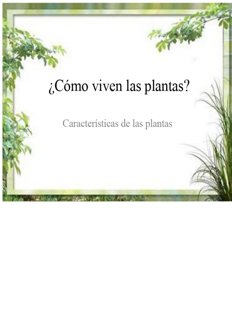 Cómo Viven Las Plantas | PDF | Plantas | Raíz