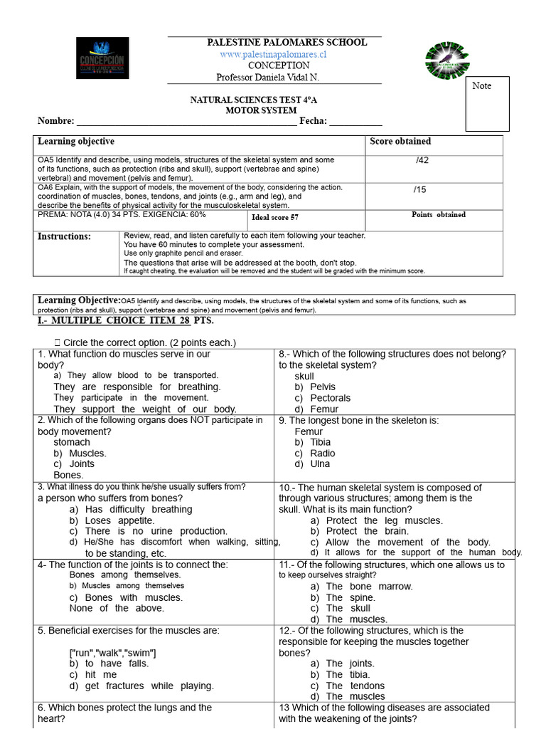 Evaluation of The Locomotor System | PDF | Human Musculoskeletal System ...