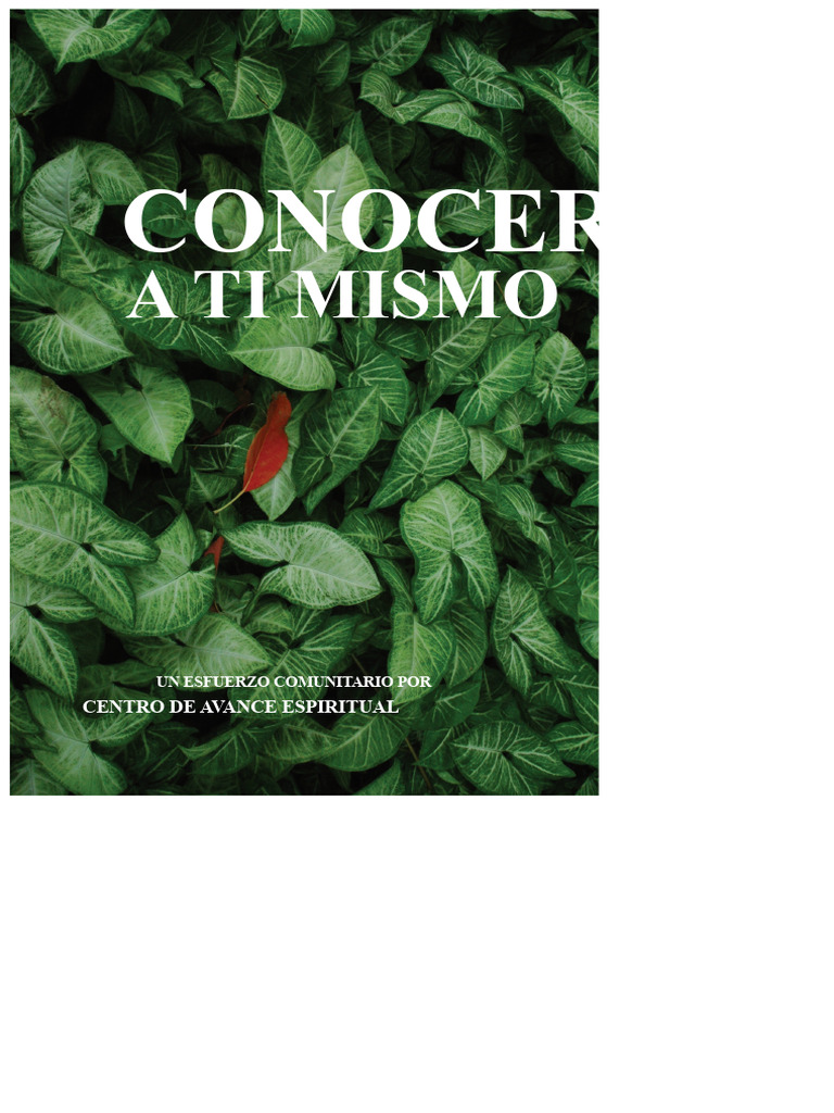 Conócete A Ti Mismo Libro | PDF | Mente | Experiencia