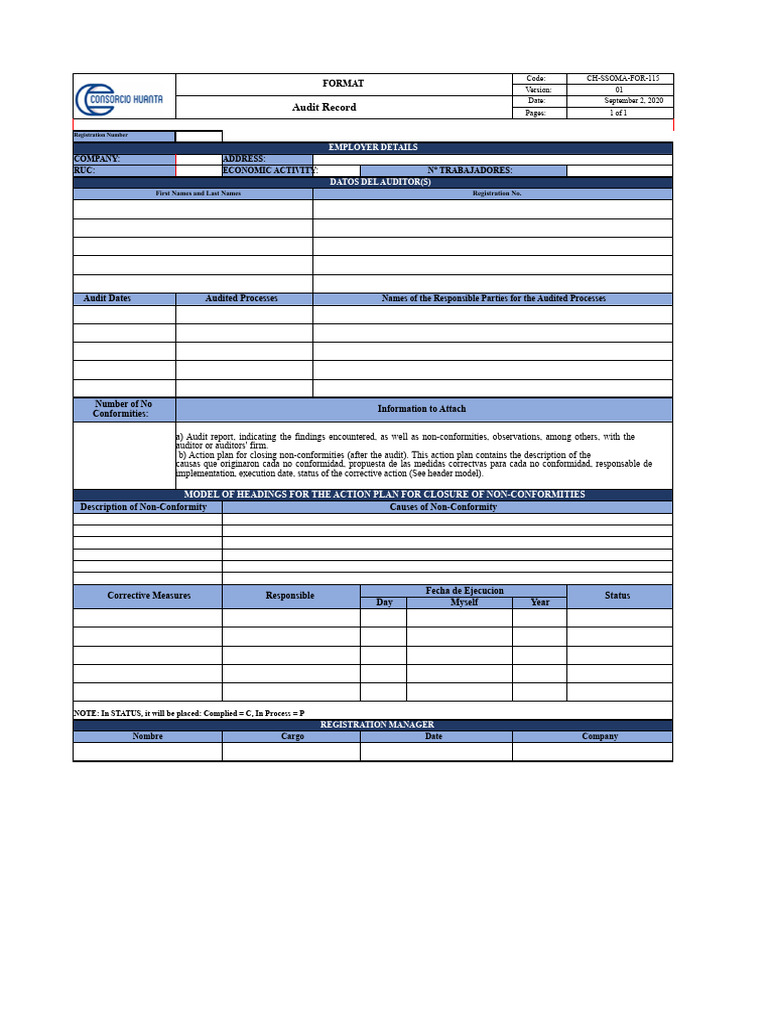 FORMAT 115 - Audit Register | PDF | Audit | Auditor's Report