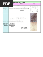Jenis Kristal Triple Fosfat dalam Urine | PDF