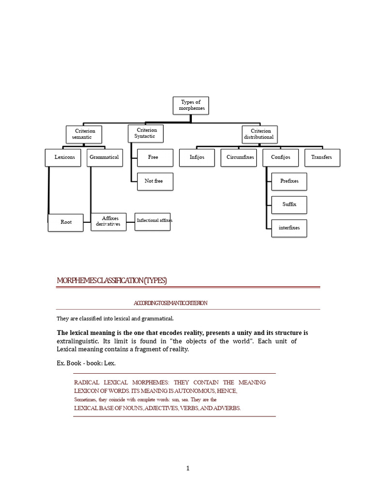 Types of Morphemes | PDF | Word | Lexicon