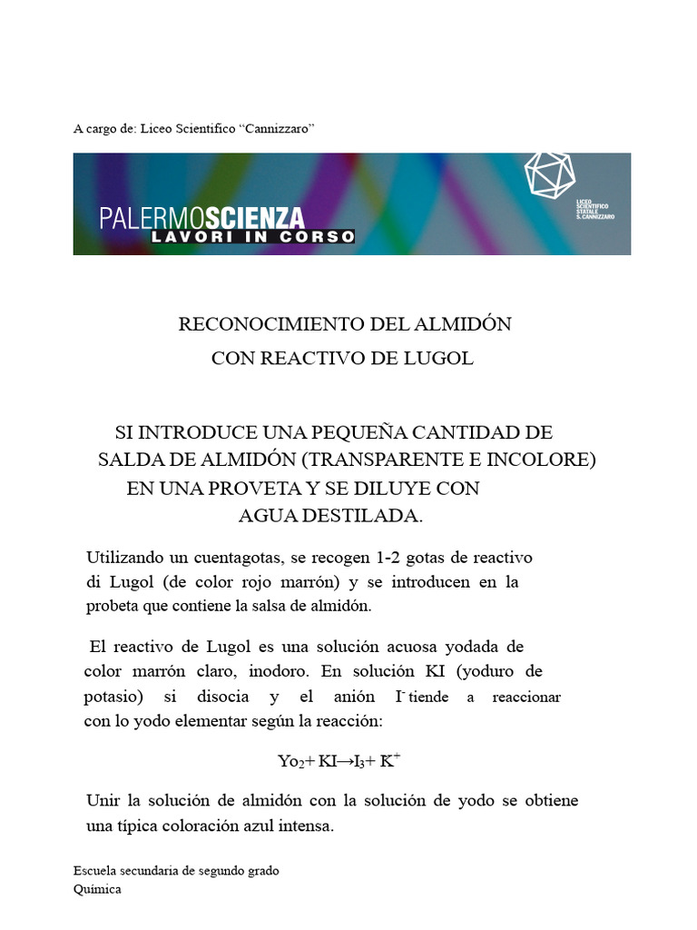 Reconocimiento Del Almidón Con Reactivo de Yodo | PDF