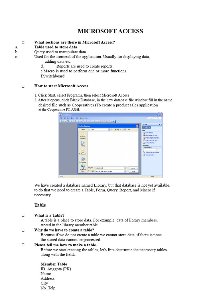 What Are the Parts of Microsoft Access? | PDF | Microsoft Access ...