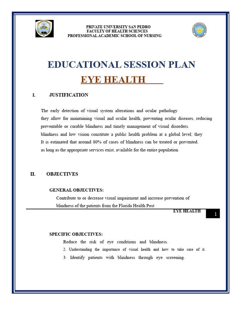 Eye Health Education Session Plan | PDF | Visual Impairment | Visual Acuity