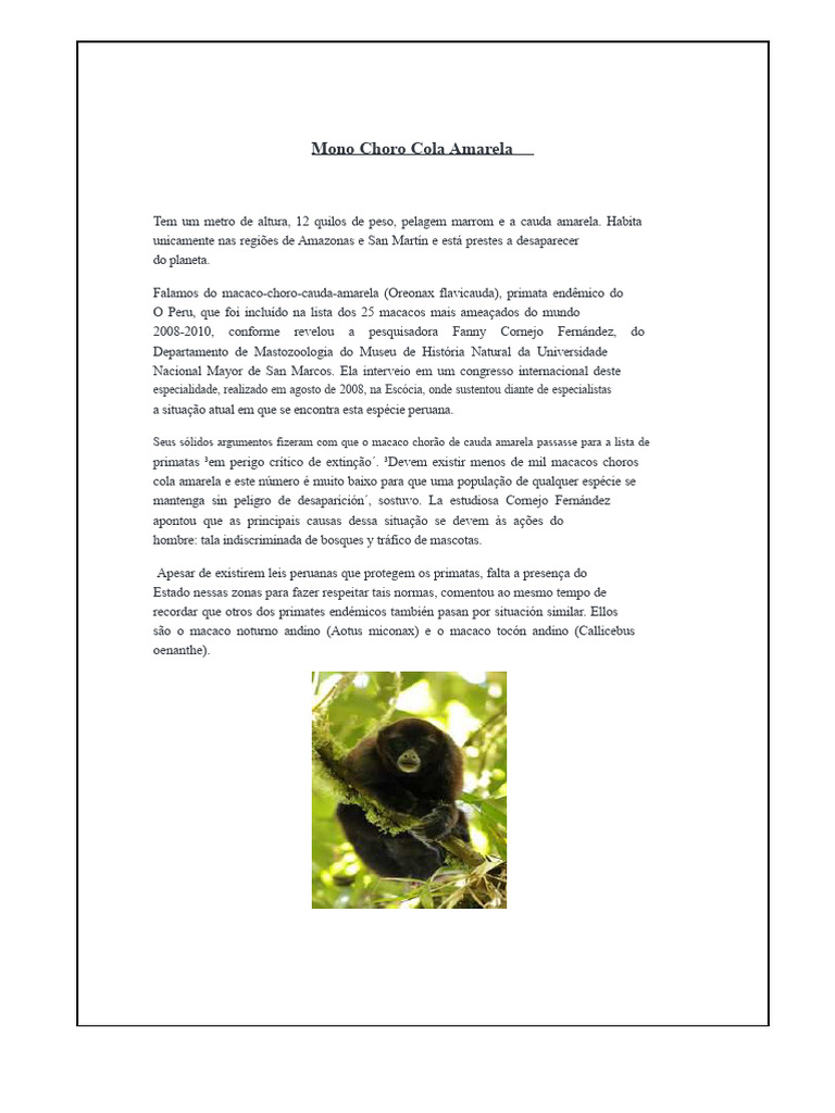 Macaco Choro de Cauda Amarela em Perigo | PDF