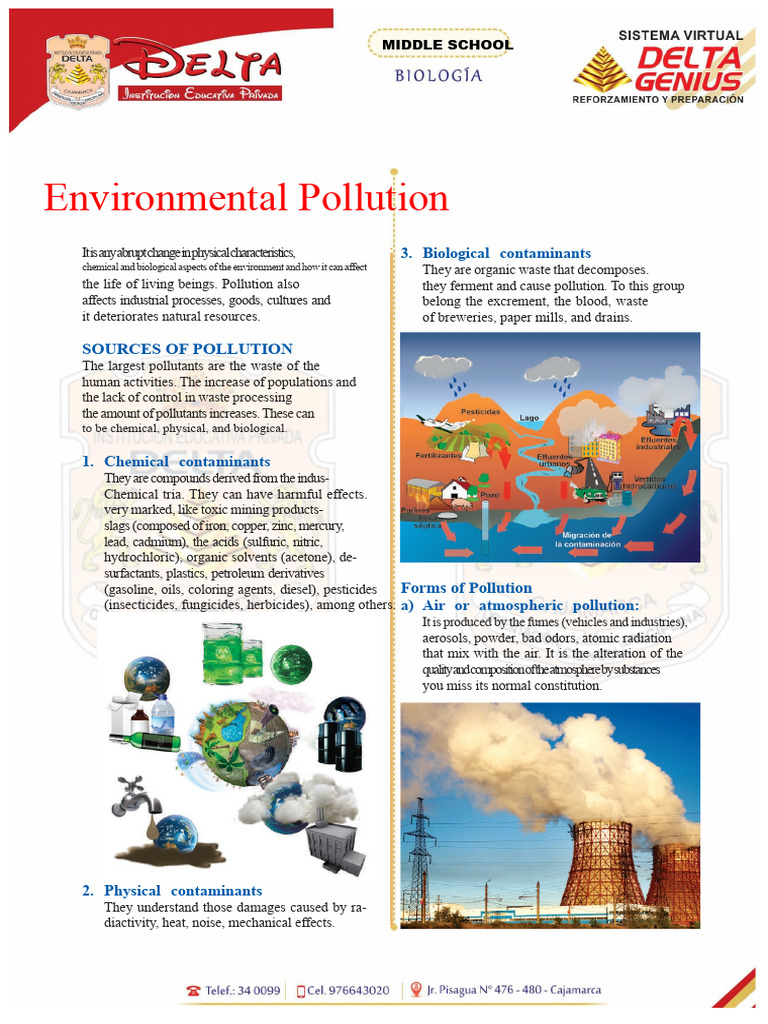 Environmental Pollution For First Year of Secondary School | PDF ...