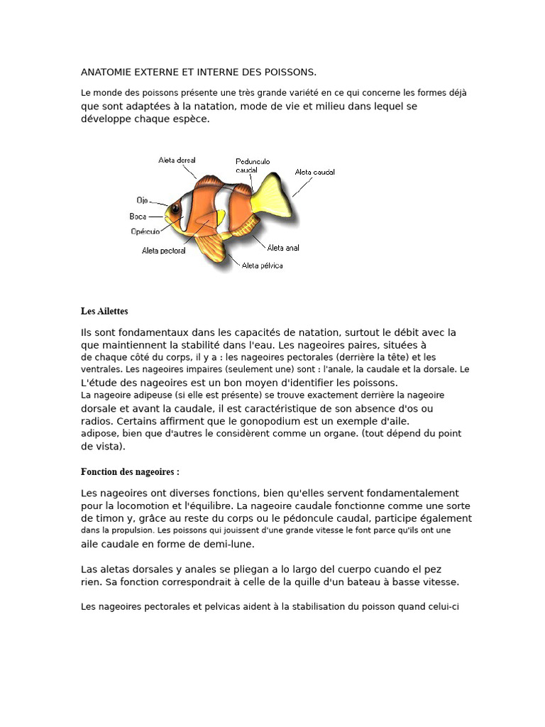 Anatomie des Poissons : Nageoires et Écailles | PDF | Poisson | Zoologie