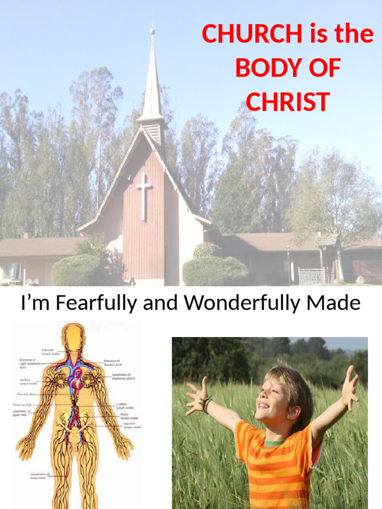 CHURCH Is The BODY OF CHRIST | PDF