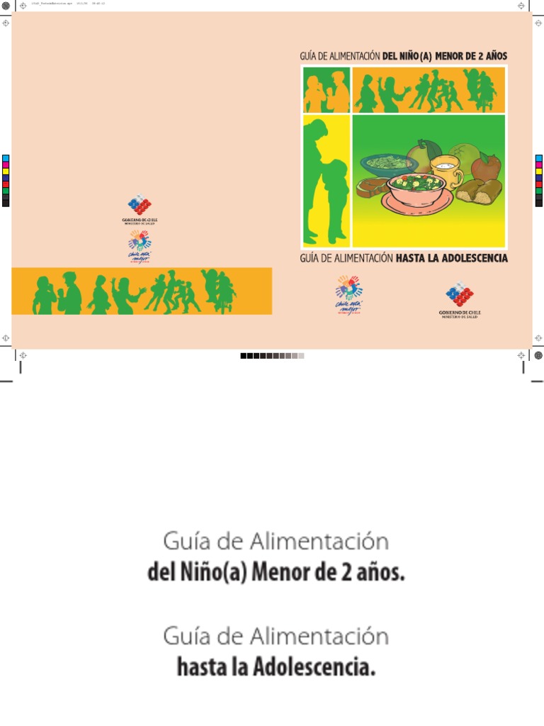 Minsal Guia Alimentacion | PDF | Amamantamiento | La leche materna