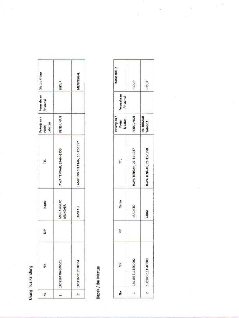 DRH Perbaikan Ortu Anggit | PDF