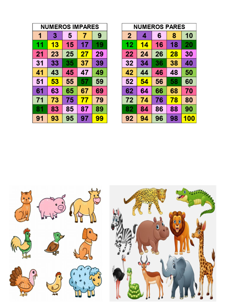 Numeros y Animales | PDF