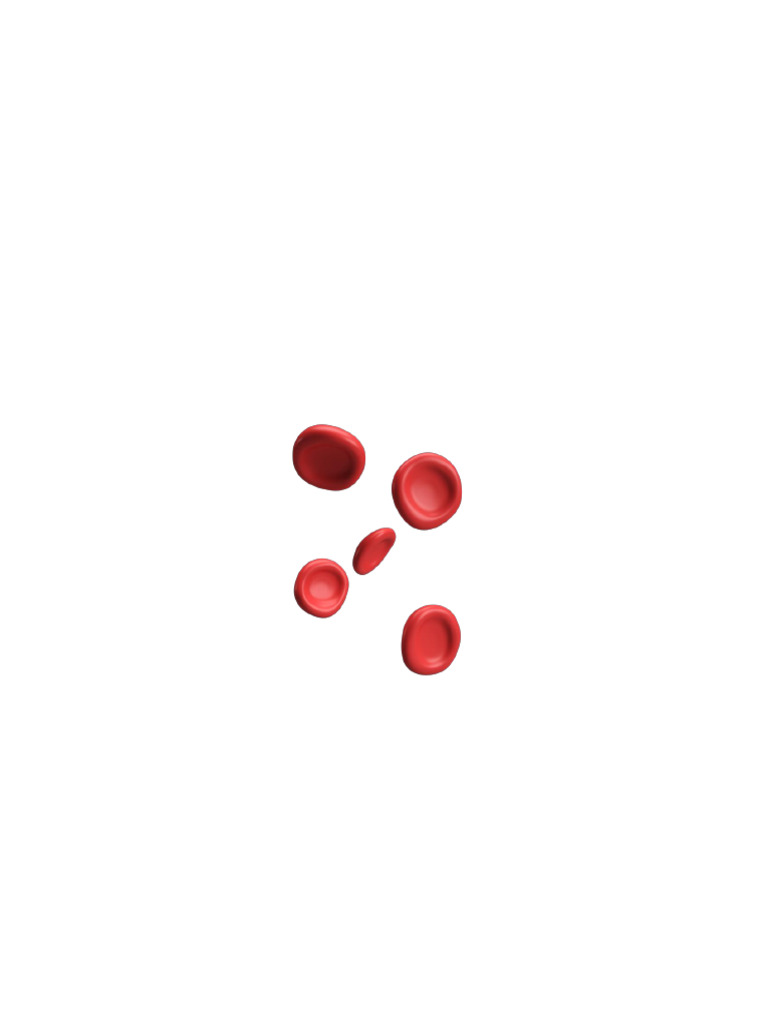 Optimize Red Blood Cell Surface Area | PDF | Red Blood Cell | Blood
