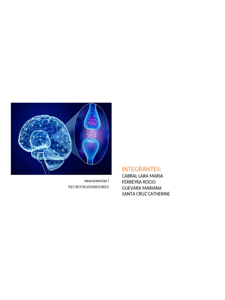 Neuro Transm Is I On | PDF | Sinapsis | Neurona