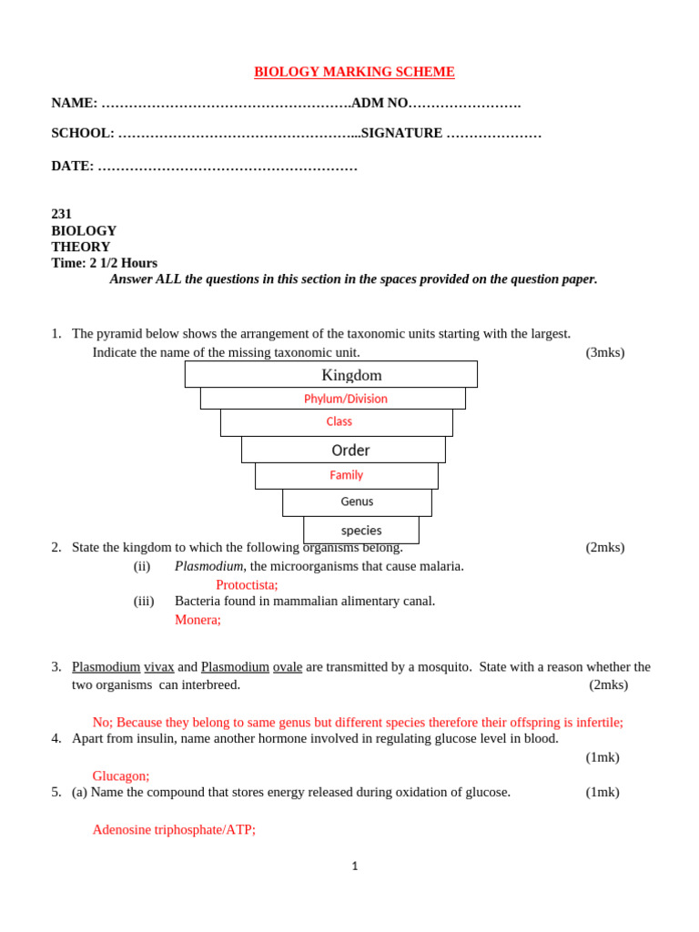 Biology Form 3 Opener Ms | PDF | Pancreas | Digestion