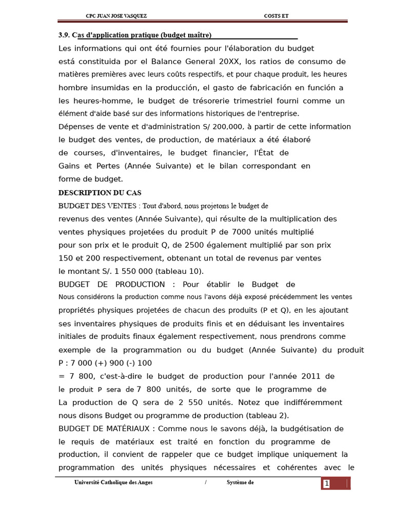Budget Maître et États Financiers 20XX | PDF | Budget | Bilan comptable