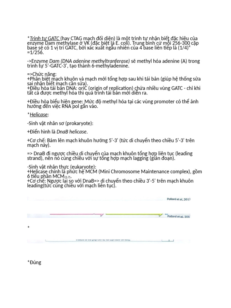 SHPT | PDF