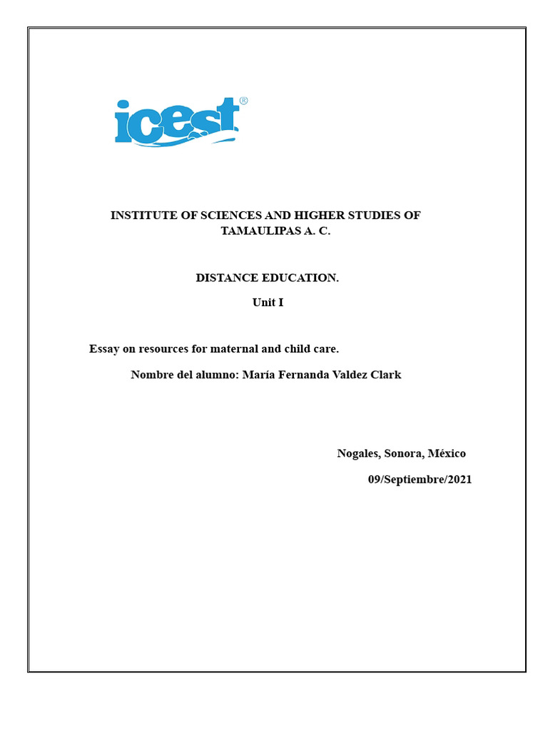 Essay On Resources For Maternal and Child Care | PDF | Pregnancy ...
