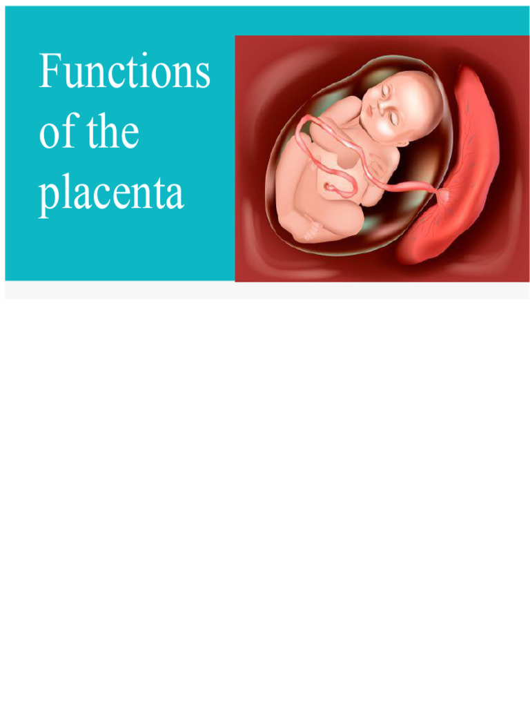 Functions of the placenta and umbilical cord | PDF | Placenta | Fetus