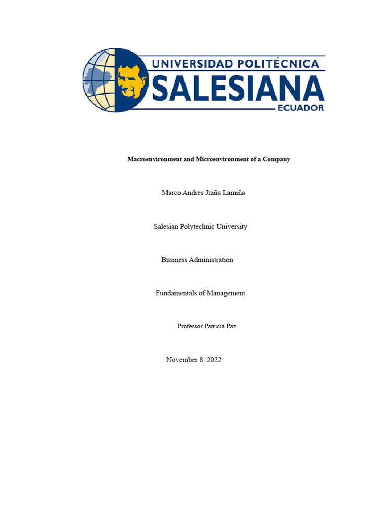 Company Macro and Microenvironment Analysis | PDF | Economies | Business