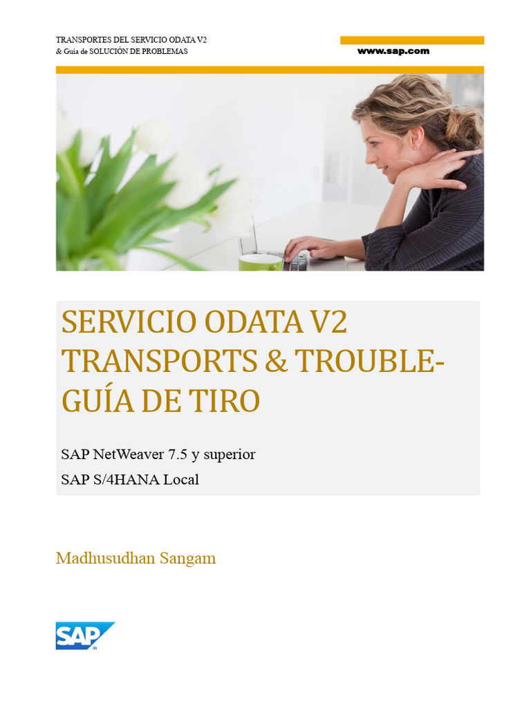 Guía de Transporte y Resolución de Problemas de SAP ODATA V2 | PDF ...