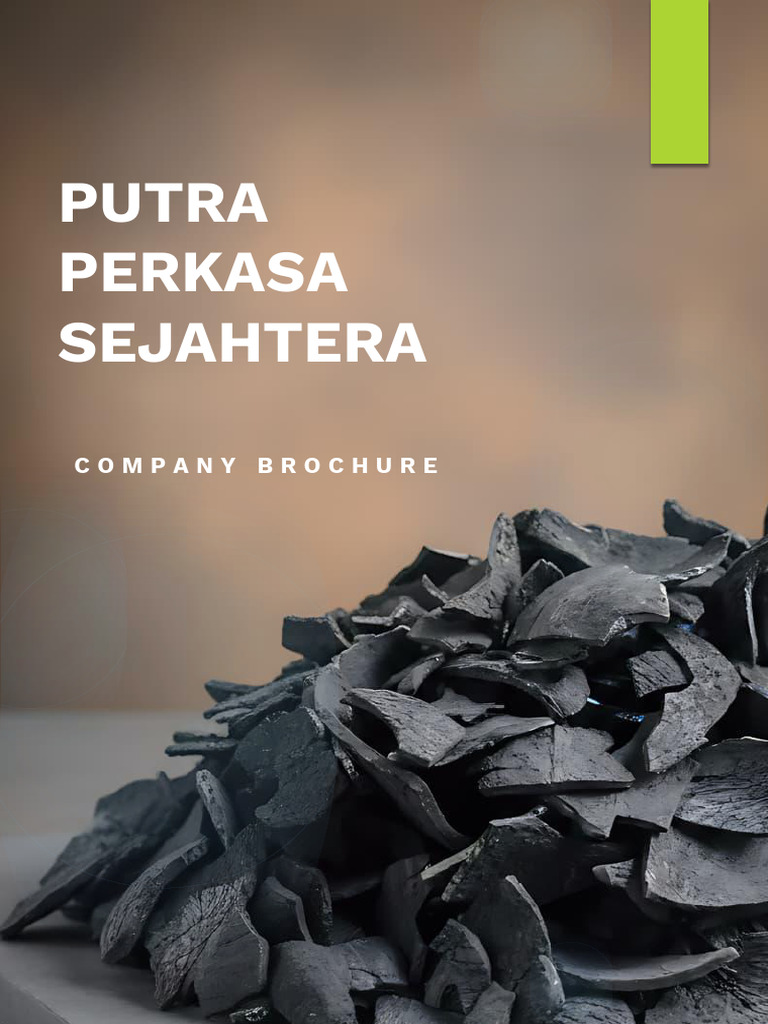COCONUT SHELL CHARCOAL Company Brochure | PDF | Secondary Sector Of The ...