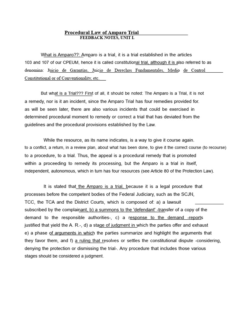 Notes From The First Unit I Amparo Judgment | PDF | Human Rights | Lawsuit