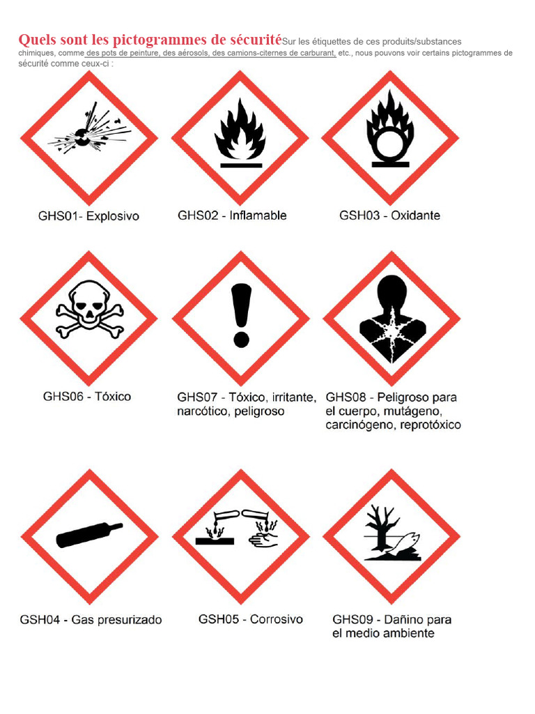 Pictogrammes de sécurité des produits chimiques | PDF
