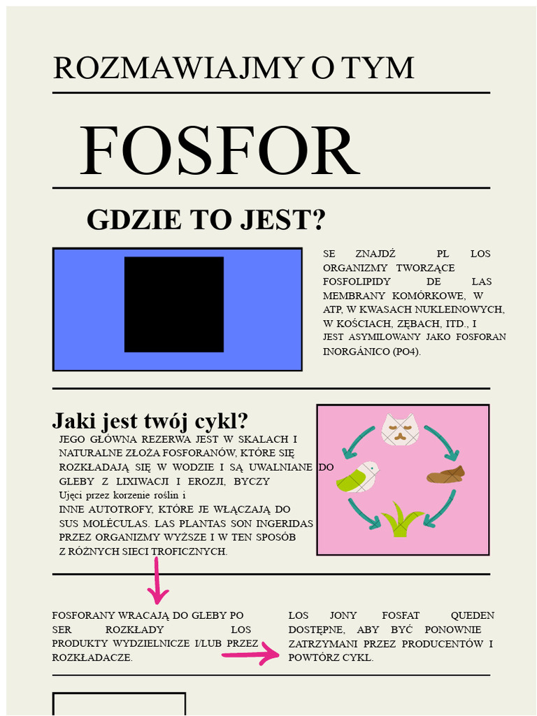 Cykl Fosforu Infografika | PDF