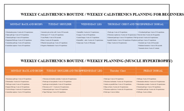 WEEKLY CALISTHENICS STREET WORKOUT Routine PDF | PDF | Strength ...