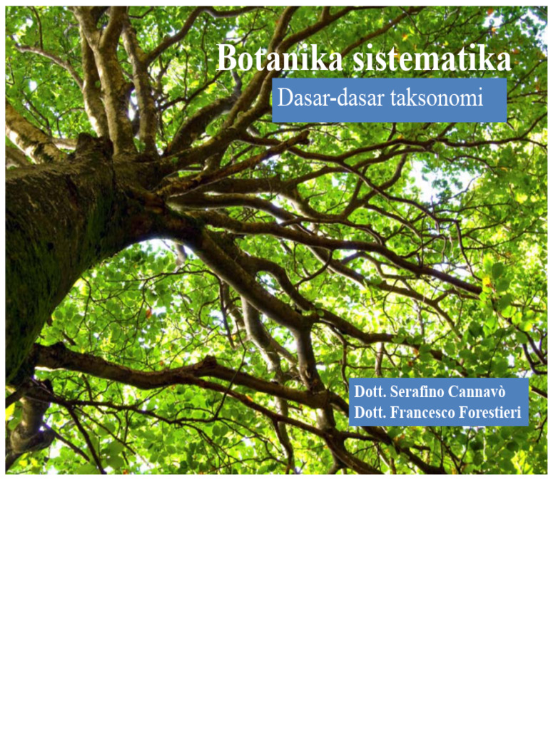 Botanika Sistematik | PDF