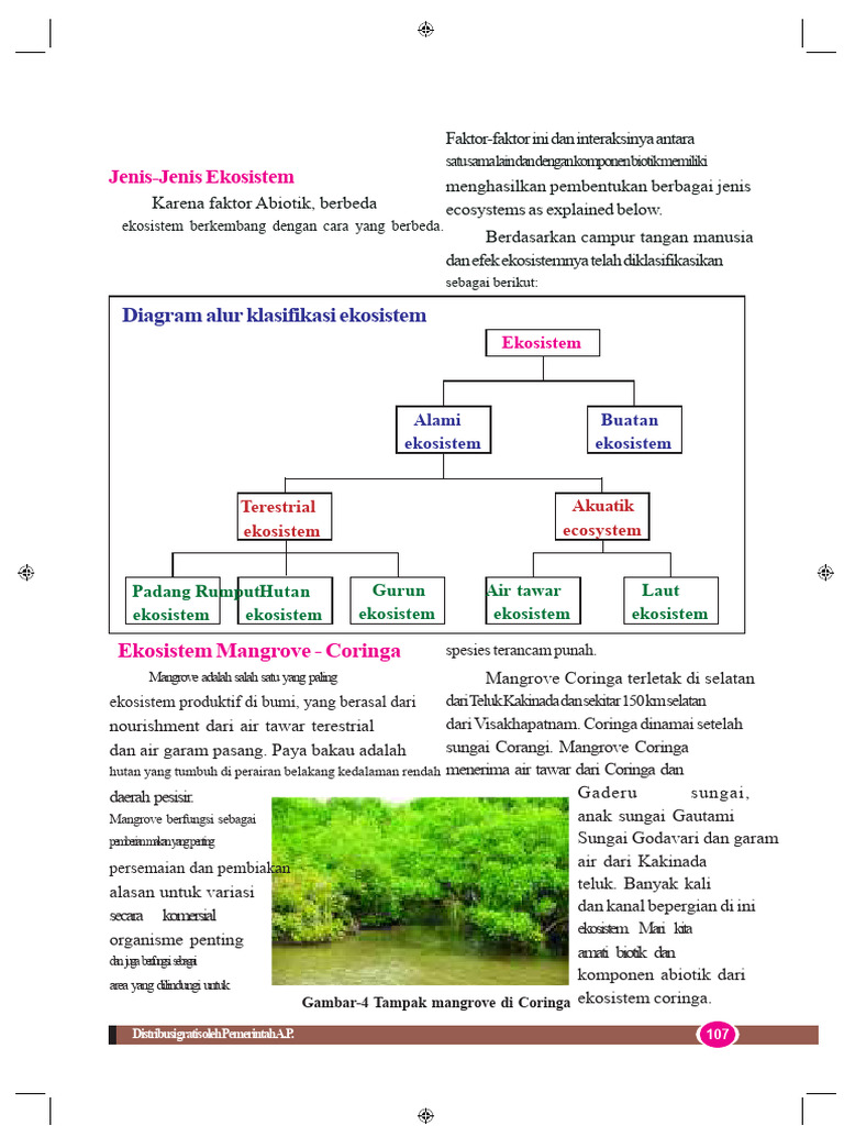 Klasifikasi dan Jenis Ekosistem Mangrove | PDF