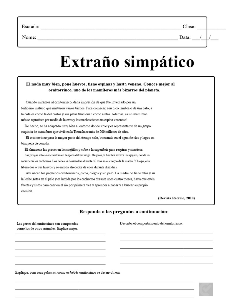 Actividades de Interpretacion de Texto 21 | PDF