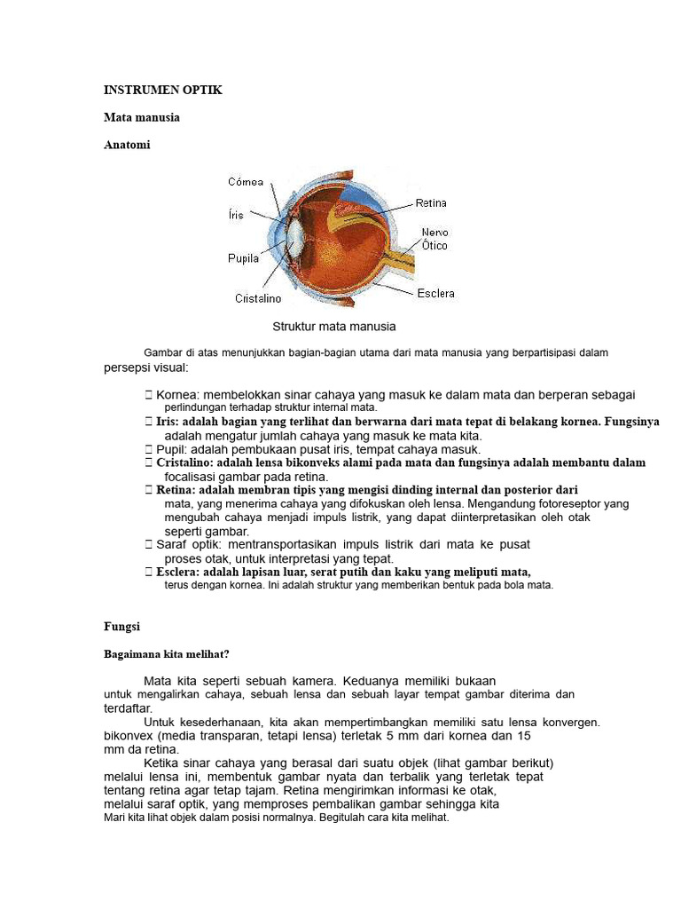 13 Mata Manusia Instrumen Optik | PDF