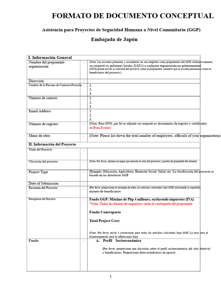 Formato de Documento Conceptual de GGP | PDF | Organización no ...