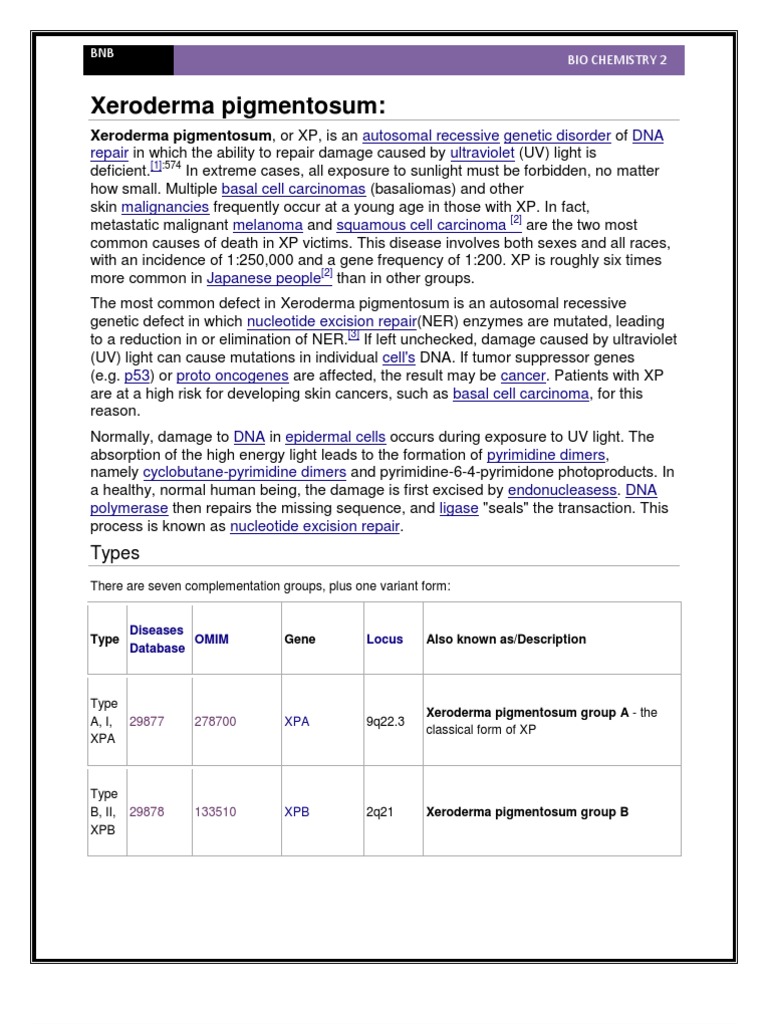 Xeroderma Pigmentosum Overview | PDF | Genetics | Biochemistry