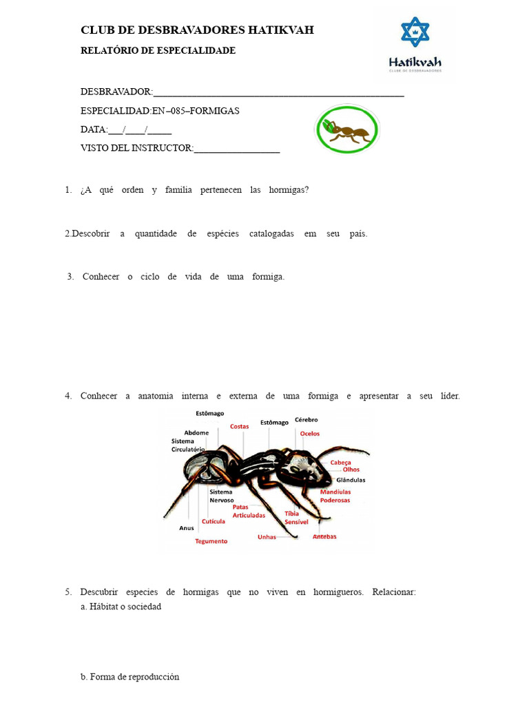 Especialidad de Hormigas | PDF | Hormiga | Biología