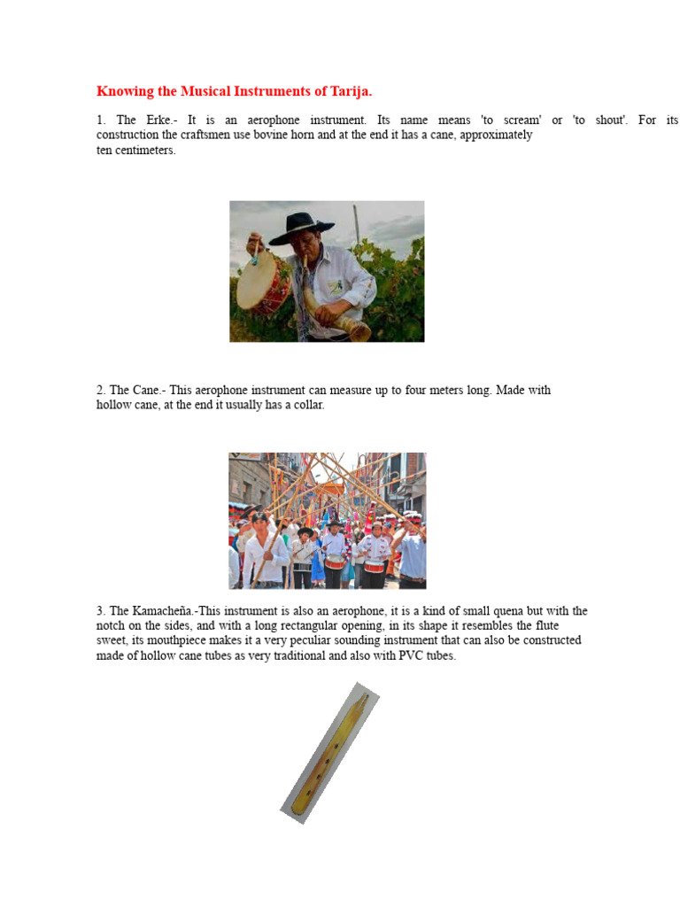 Musical Instruments of Tarija Explained | PDF