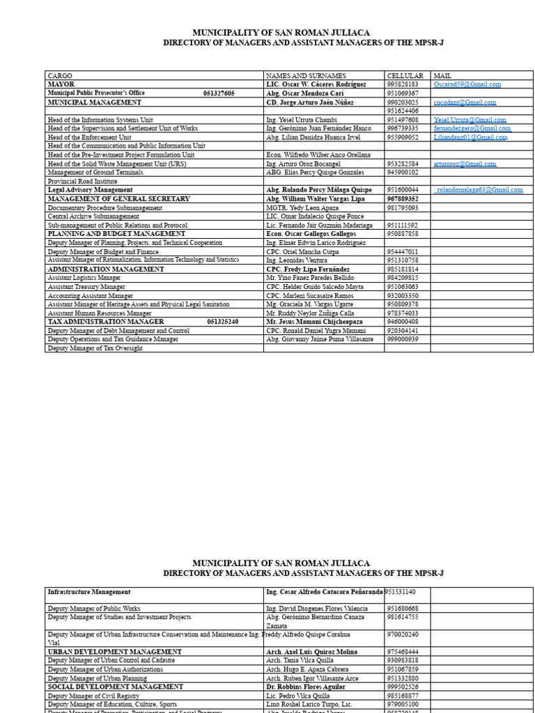 San Roman Juliaca Management Directory | PDF | Economies